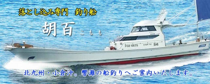 7年7月20日イカ釣り – 落とし込み専門 釣り船 胡百(こもも)